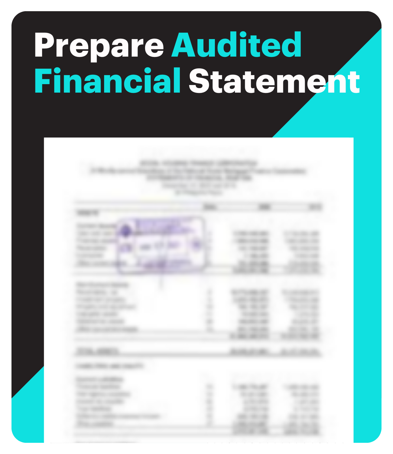 Audited Financial Statement – Taxumo Partner Services