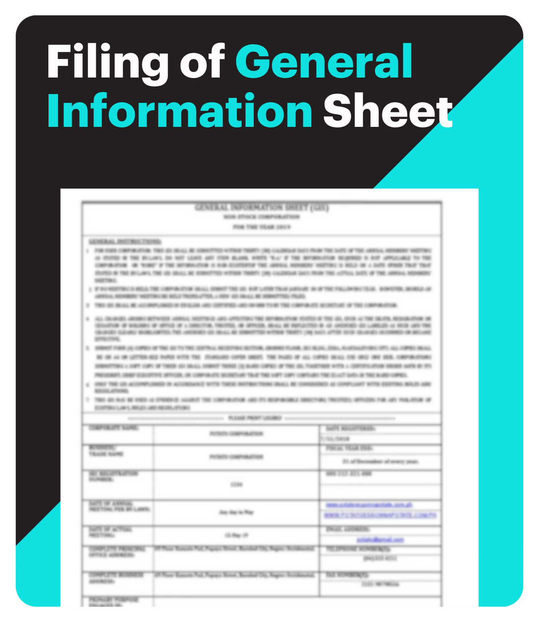Filing of General Information Sheet (GIS) – Taxumo Partner Services
