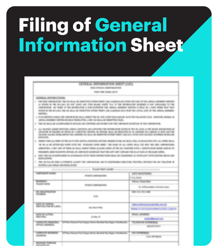 Filing of General Information Sheet (GIS) – Taxumo Partner Services