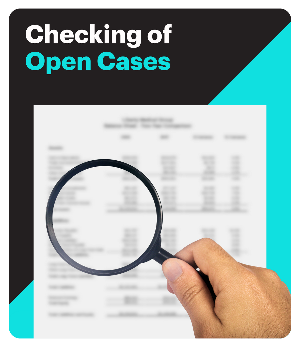 Checking of BIR Open Cases – Taxumo Partner Services