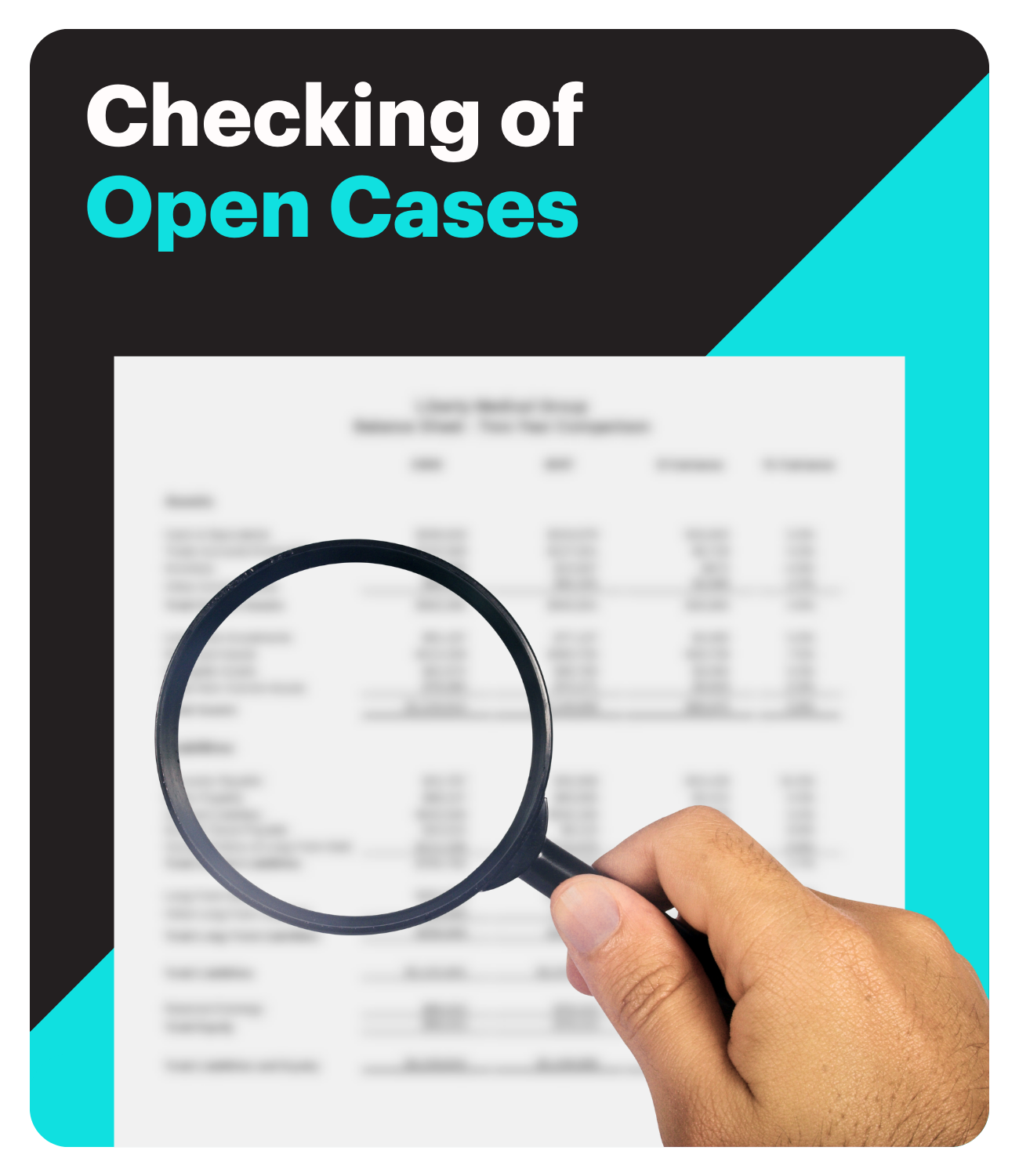 Checking of BIR Open Cases – Taxumo Partner Services