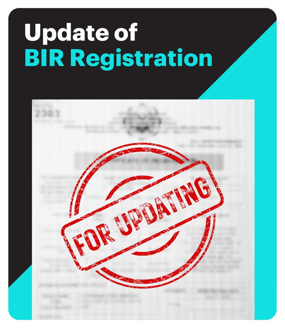 Update of BIR Registration (General Update) – Taxumo Partner Services