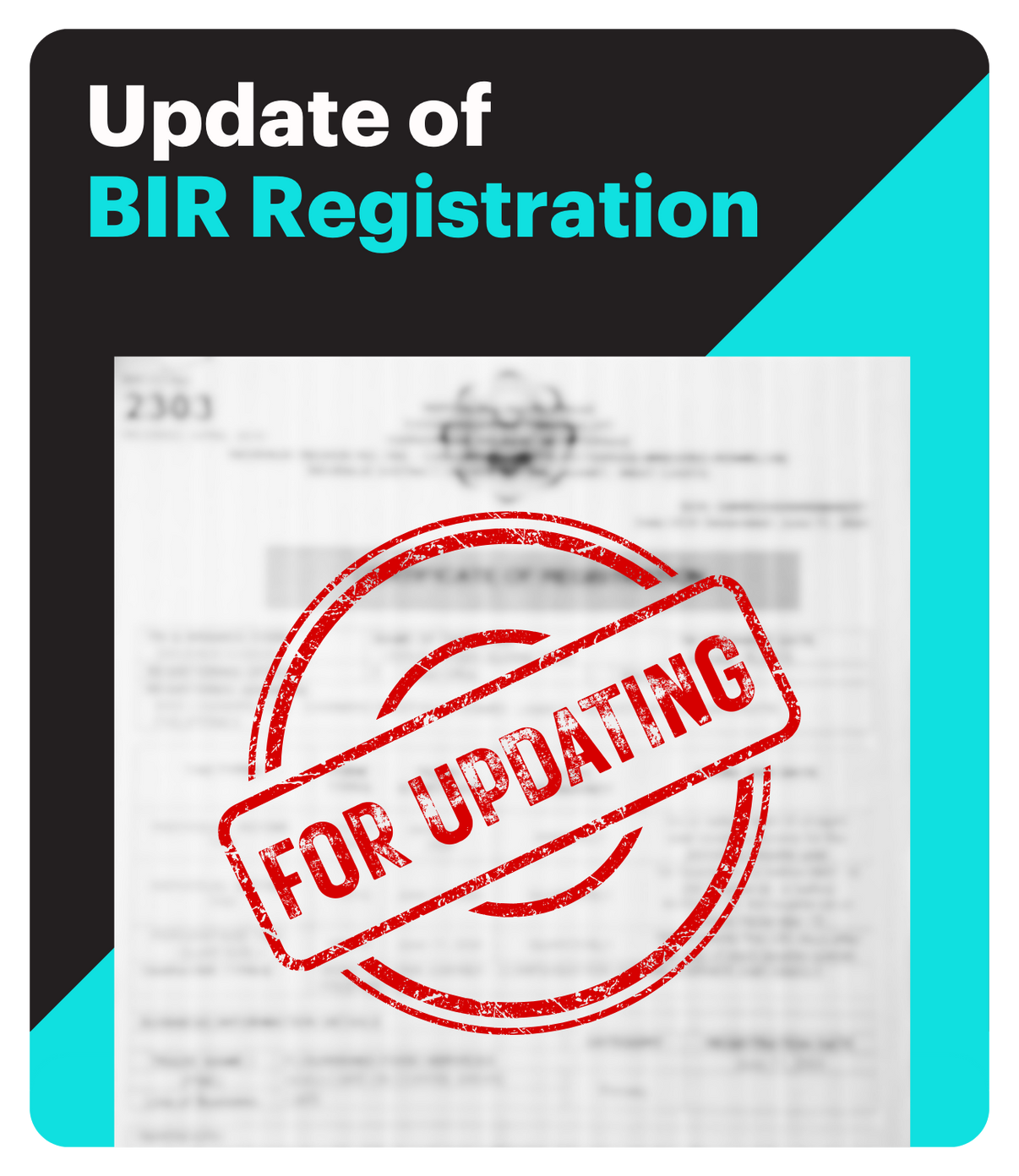 Update of BIR Registration (General Update) – Taxumo Partner Services