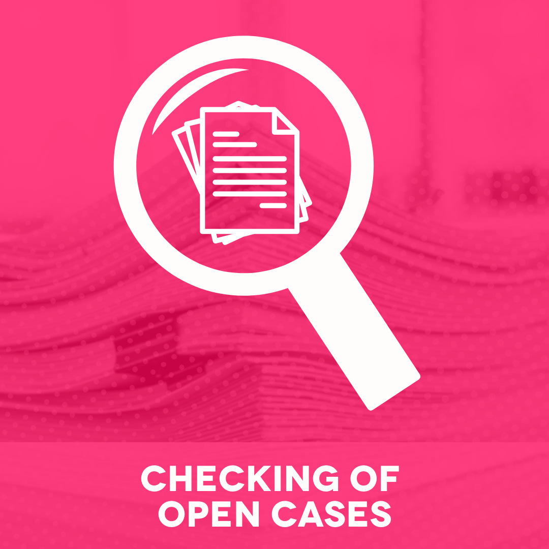 Checking of BIR Open Cases – Taxumo Partner Services